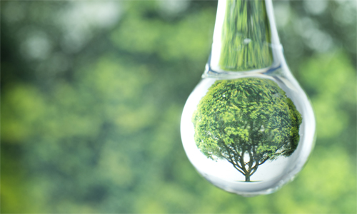 Introducción – Torah – Através de las Escrituras