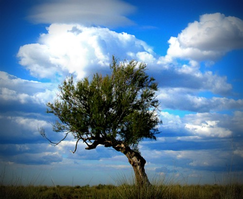 Génesis 21 – Nacimiento de la promesa – Através de las Escrituras