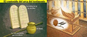 El Tabernáculo – Lugar Santísimo – Através de las Escrituras