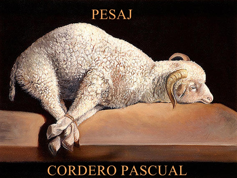 Éxodo 12:1-28 – La Pascua – Através de las Escrituras