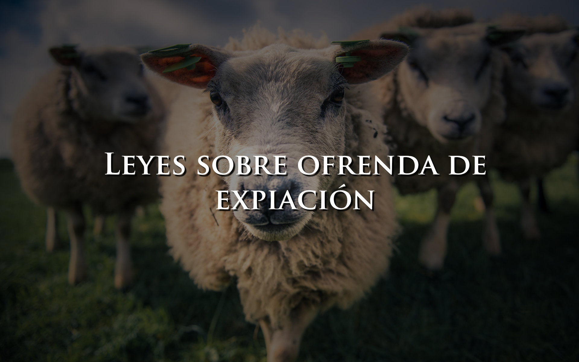 Levítico 4 – Leyes sobre ofrenda de expiación – Através de las Escrituras