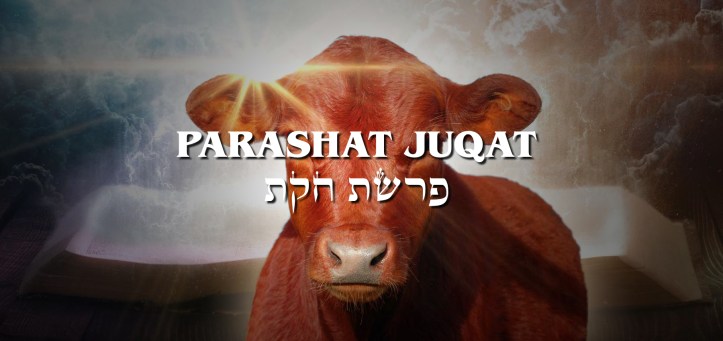 Sobre la Parashat Juqat – Através de las Escrituras